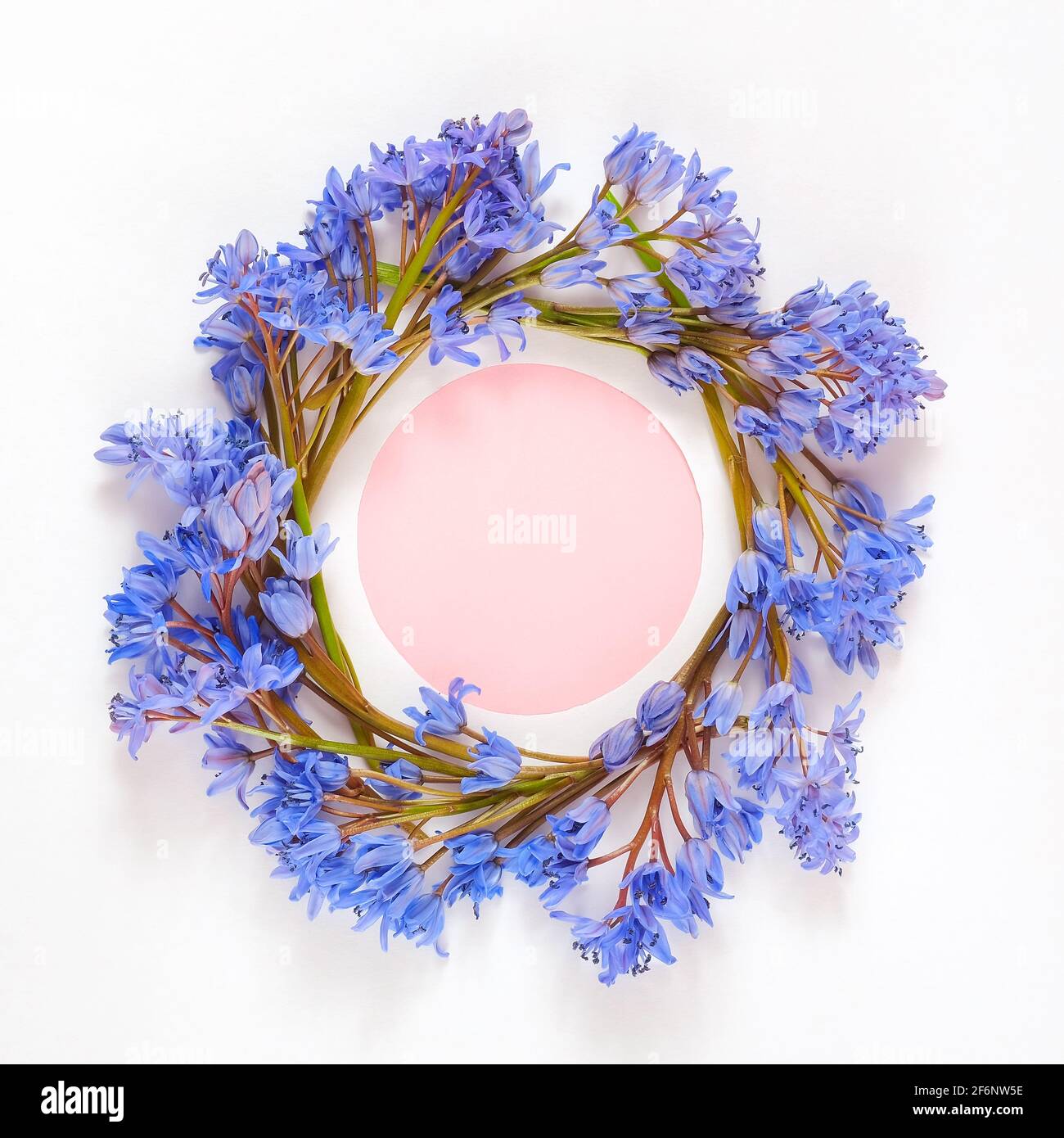 Round frame flowers hi-res stock photography and images - Alamy