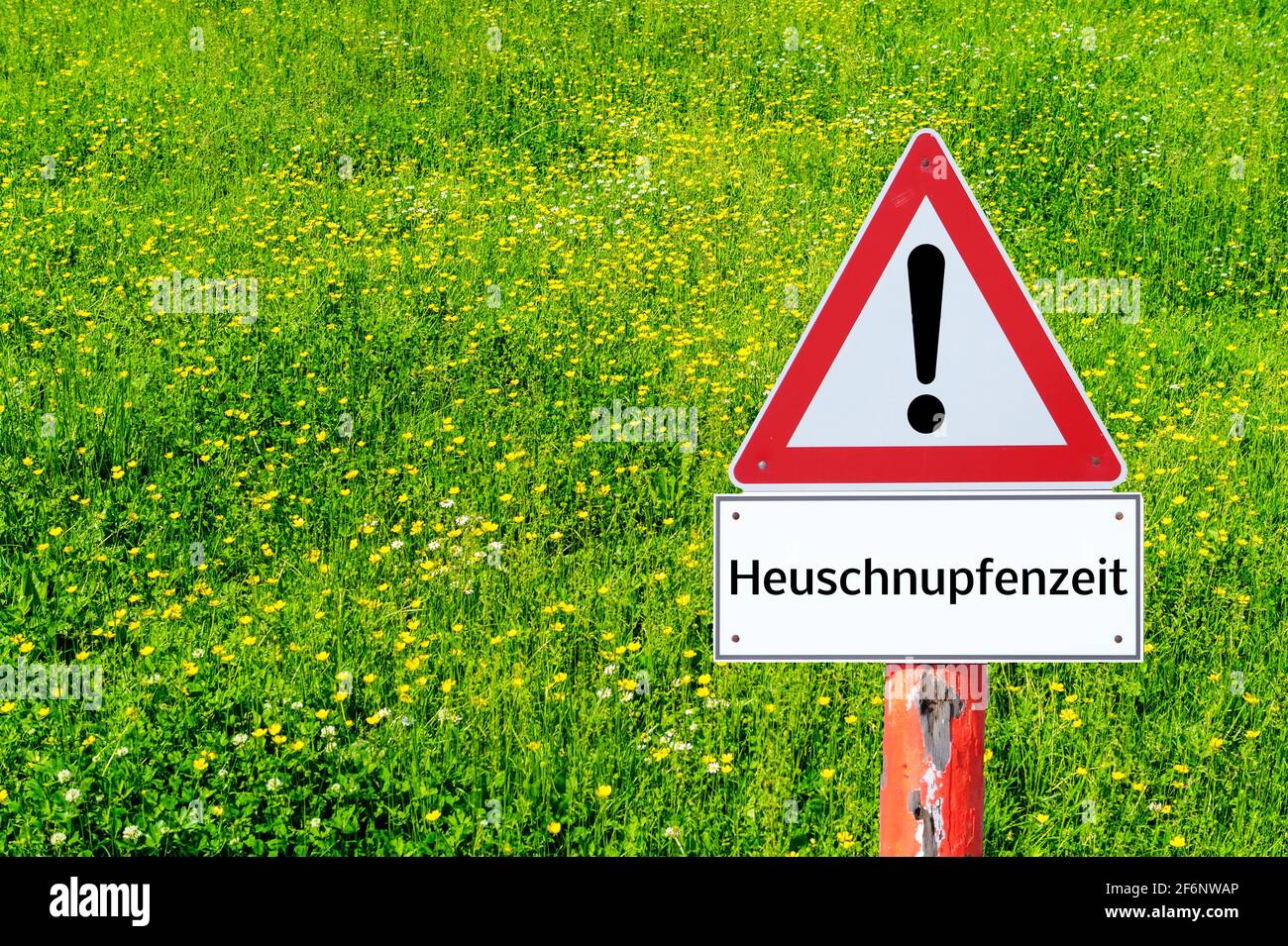 Hay fever warning sign with a meadow as a background Stock Photo - Alamy