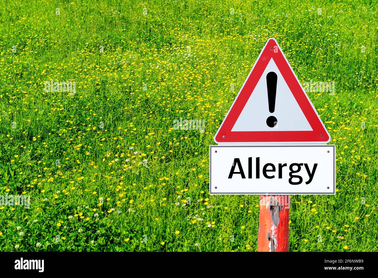 Allergy warning sign with a meadow as a background Stock Photo - Alamy