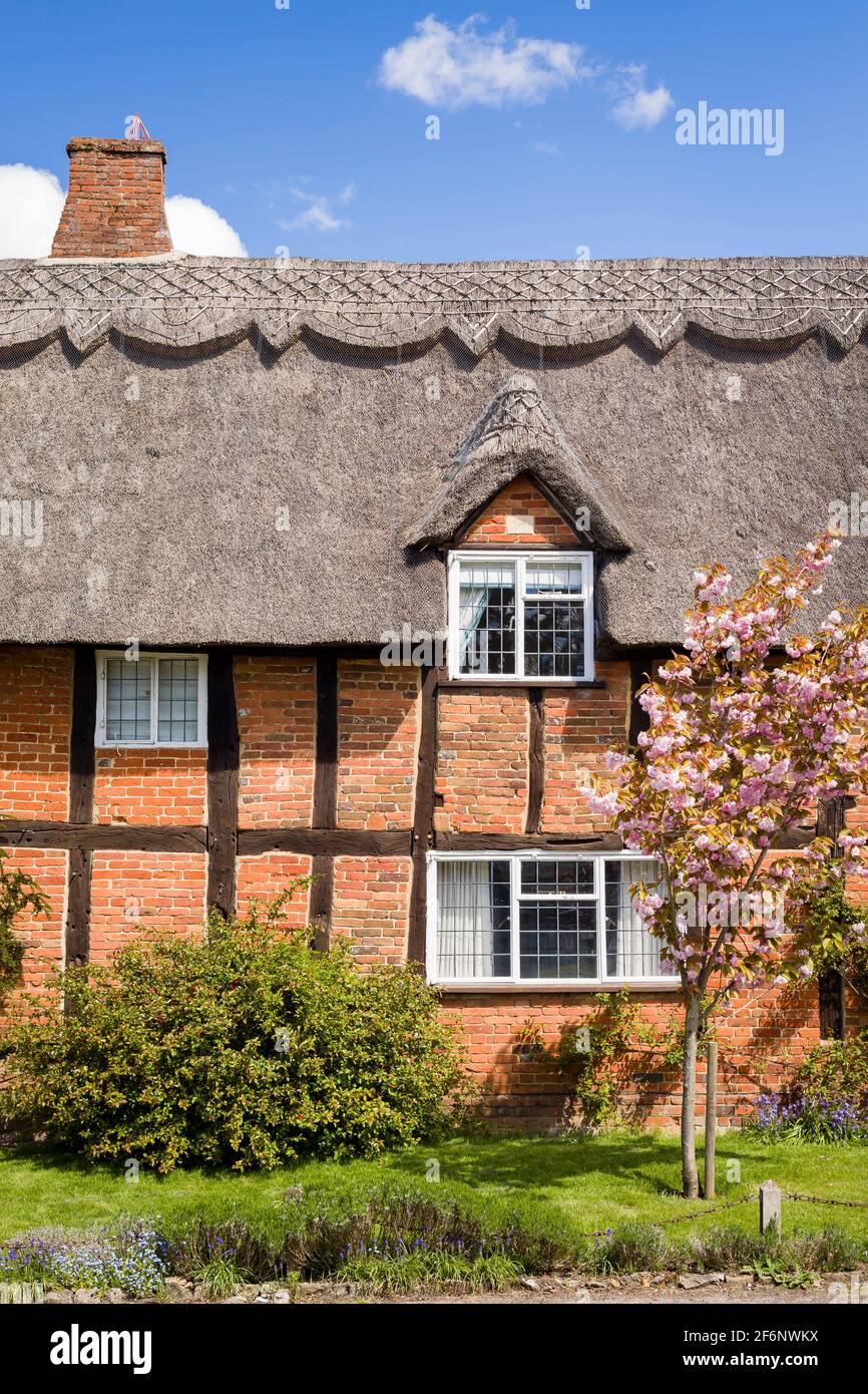 Half Timbered Thatched Cottage High Resolution Stock Photography and ...