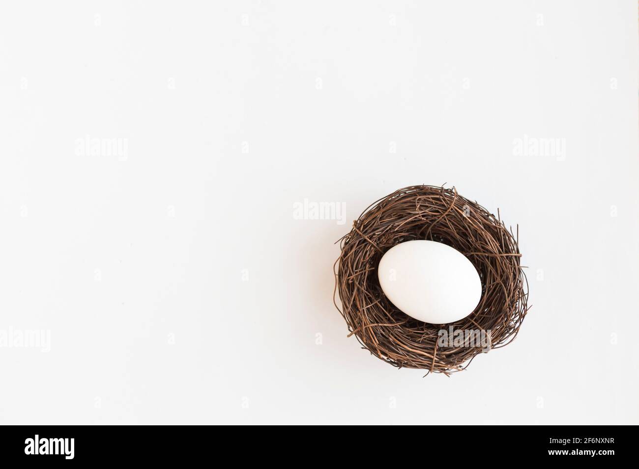 Chicken egg in the nest, top view, white background. Copy space Stock ...