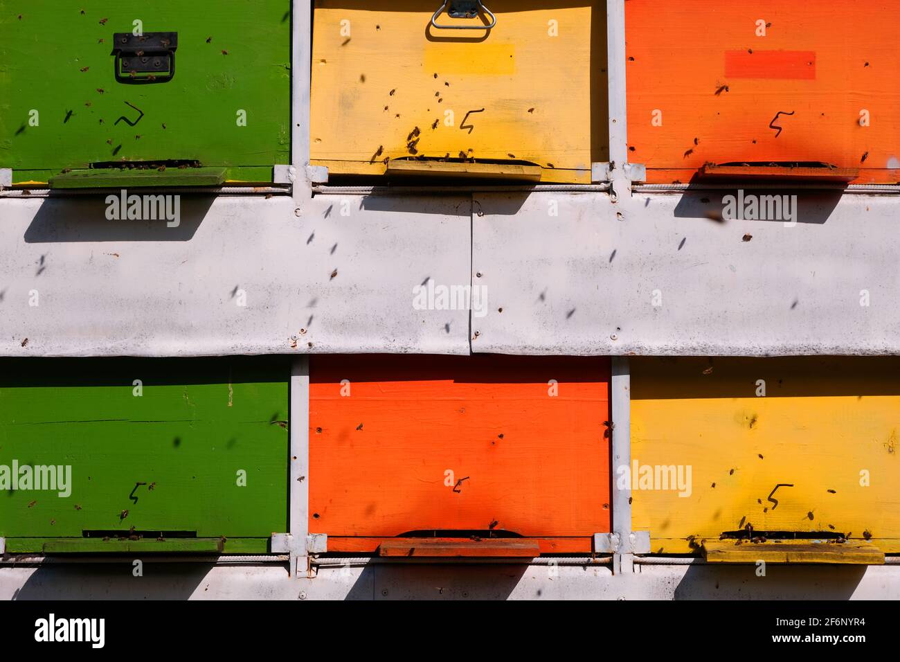 Beekeeping tourism hi-res stock photography and images - Alamy