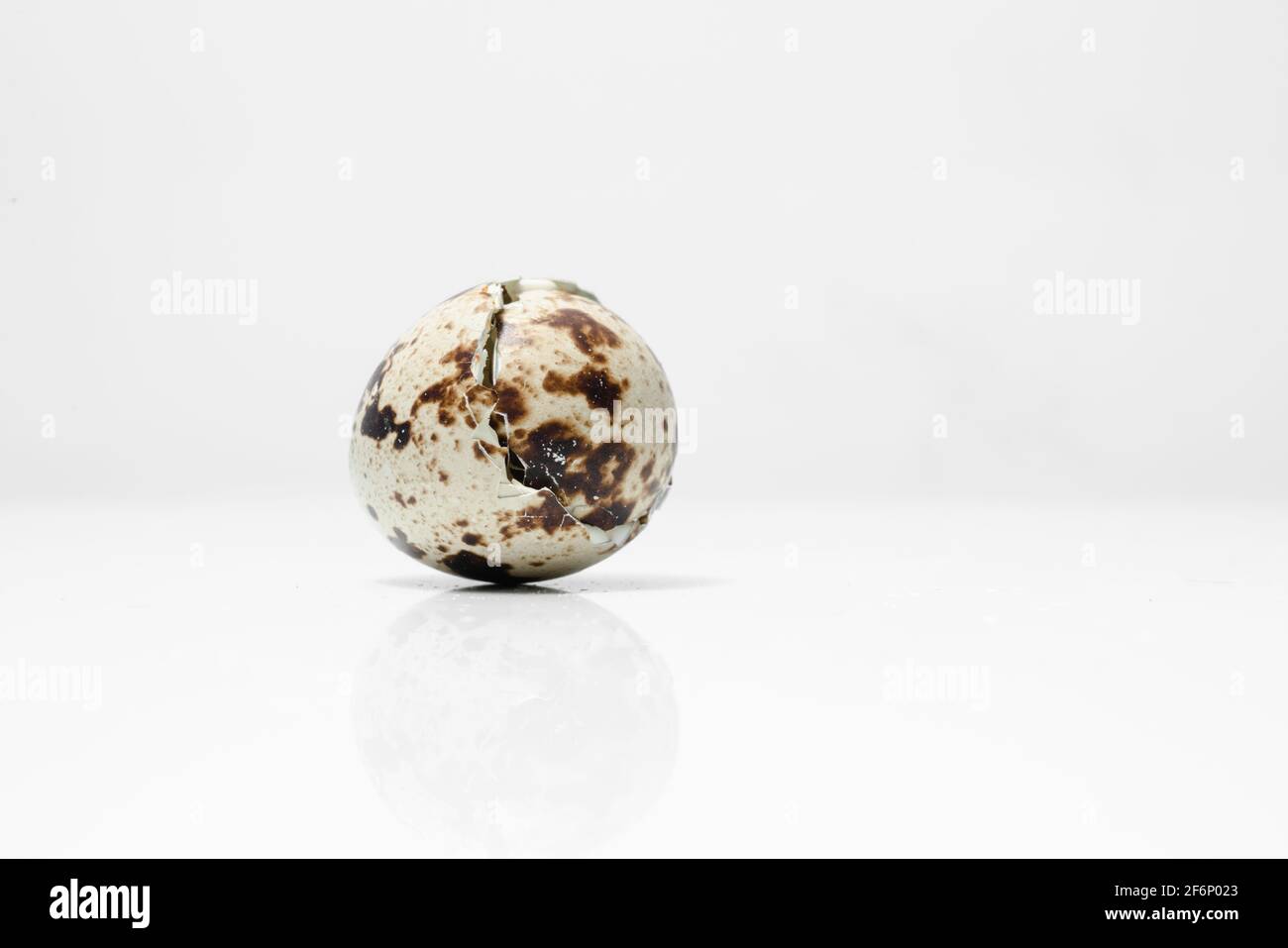 Quail egg shell after birth,The appearance of the eggshell after the ...