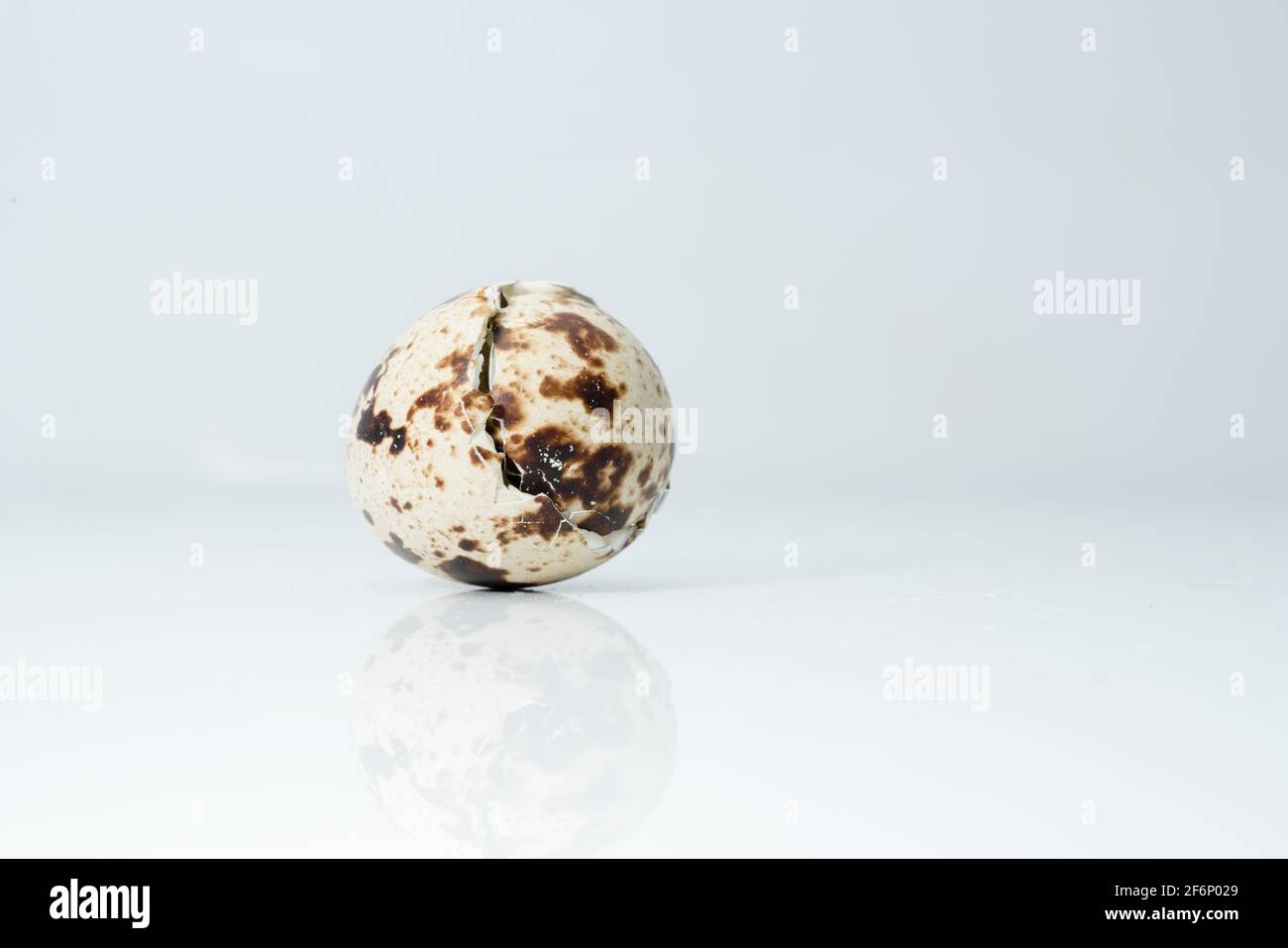 Fluffy appearance hi-res stock photography and images - Alamy