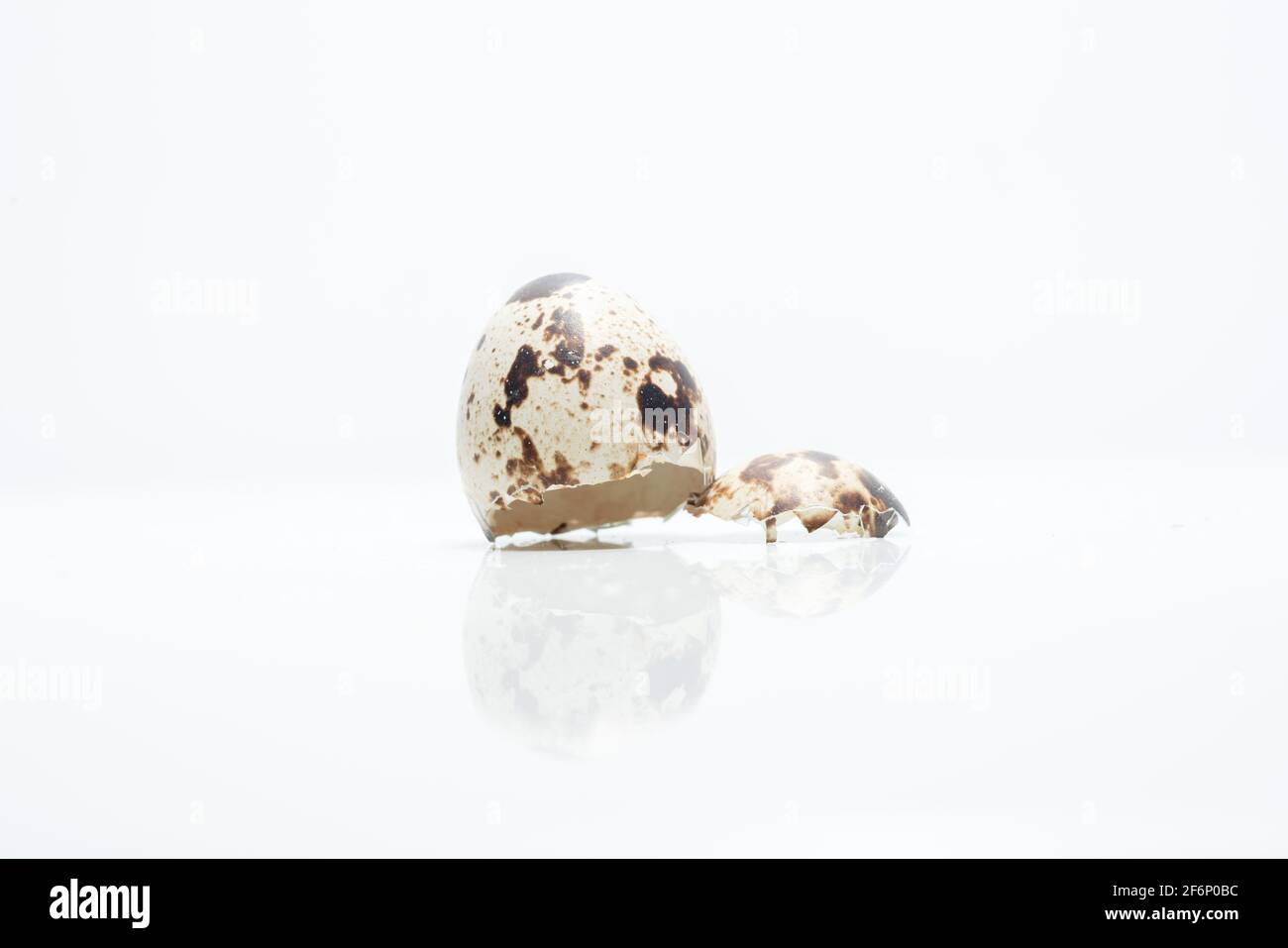 Quail egg shell after birth,The appearance of the eggshell after the ...