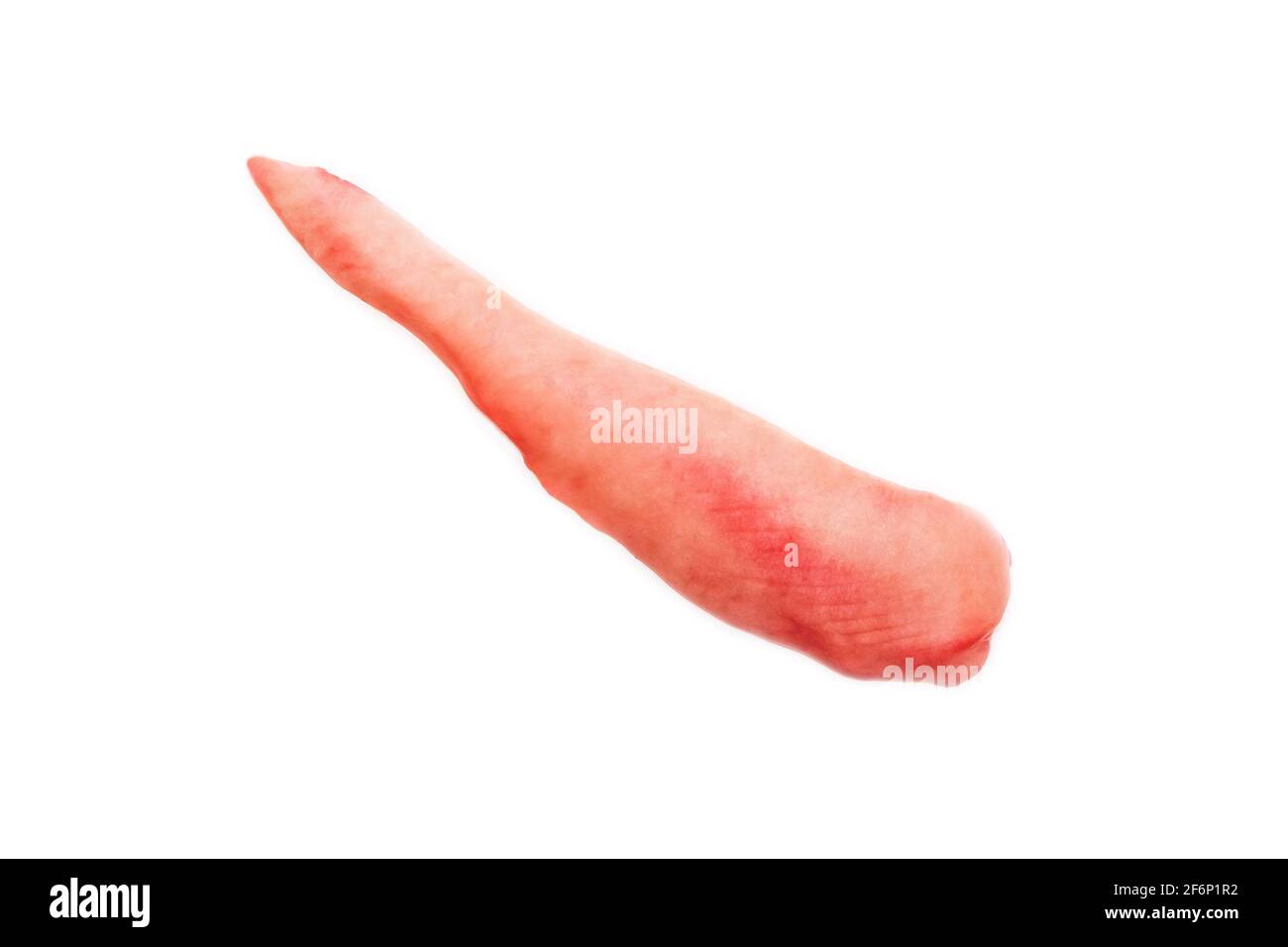 Milt, male seminal glands on white background, isolated Stock Photo - Alamy