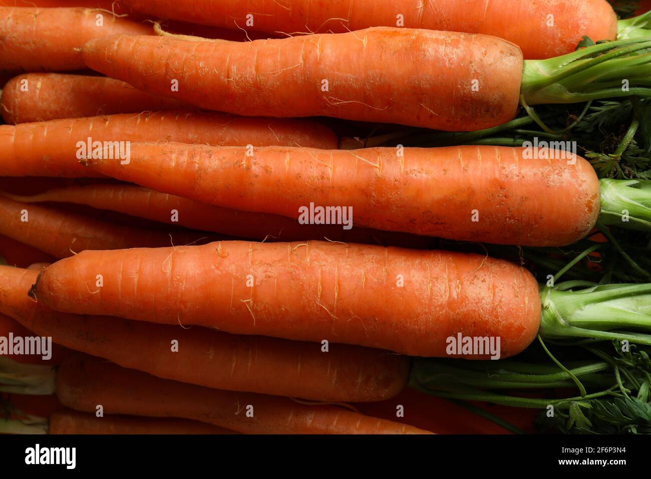 Fresh ripe carrot on whole background, close up Stock Photo - Alamy