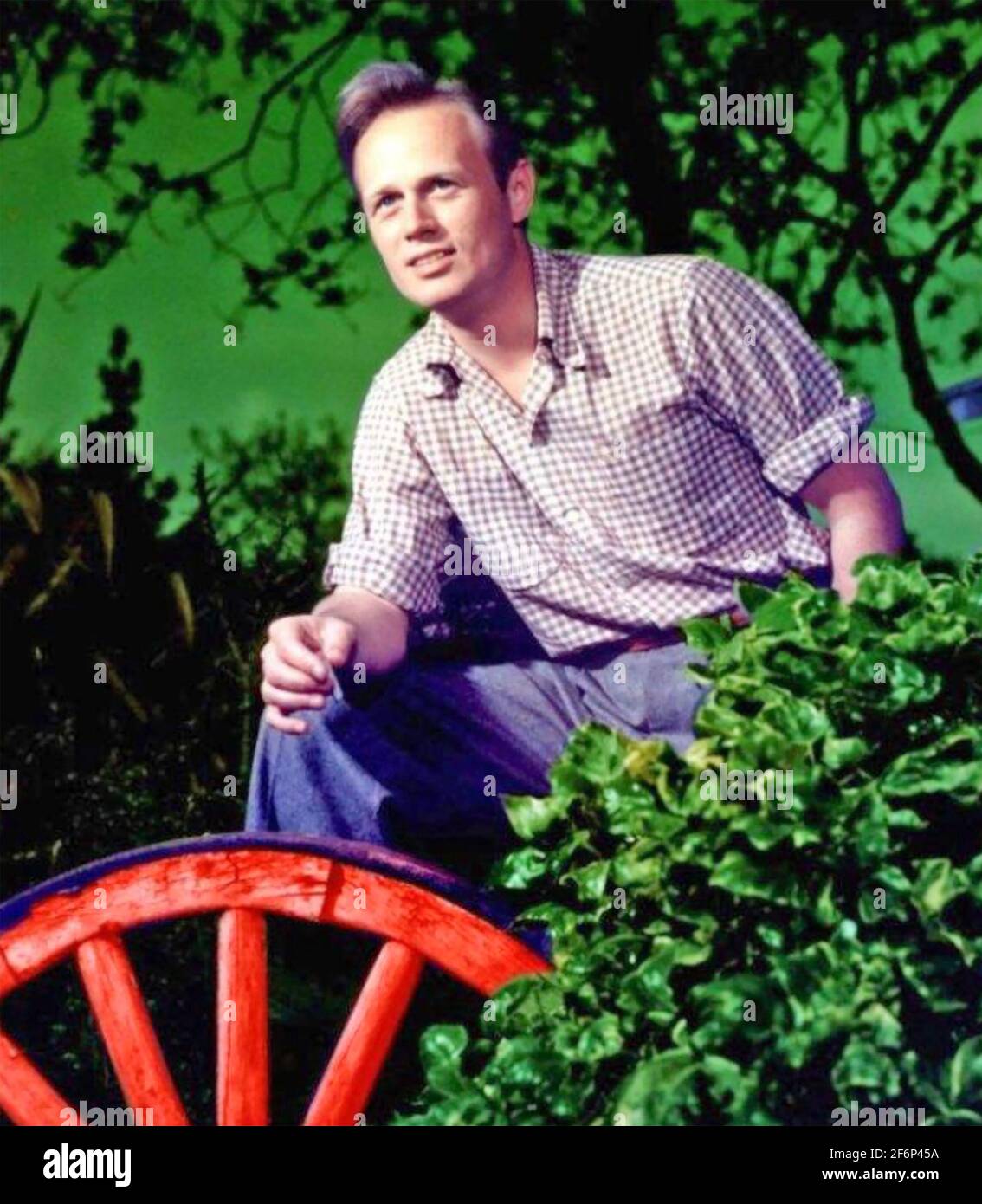 RICHARD WIDMARK (1914-2008) American film actor about 1945 Stock Photo ...