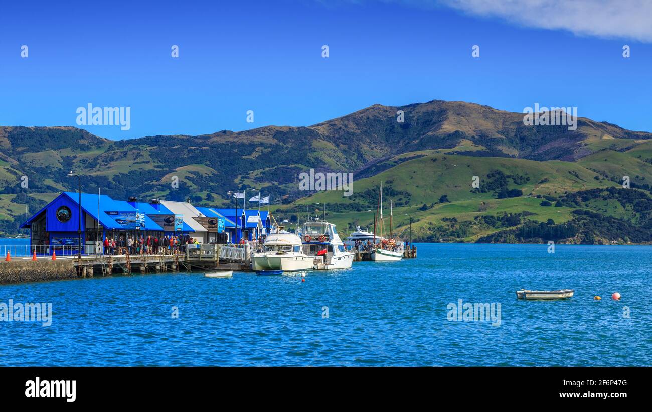 The main wharf in Akaroa, New Zealand, with tour boats tied up ...