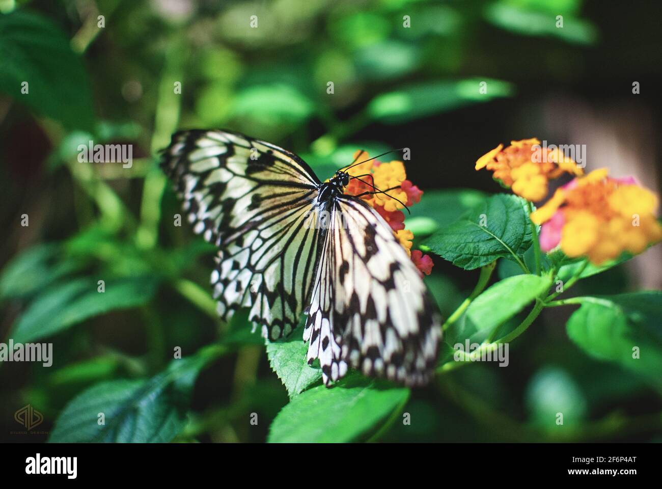 Bilar hi-res stock photography and images - Alamy