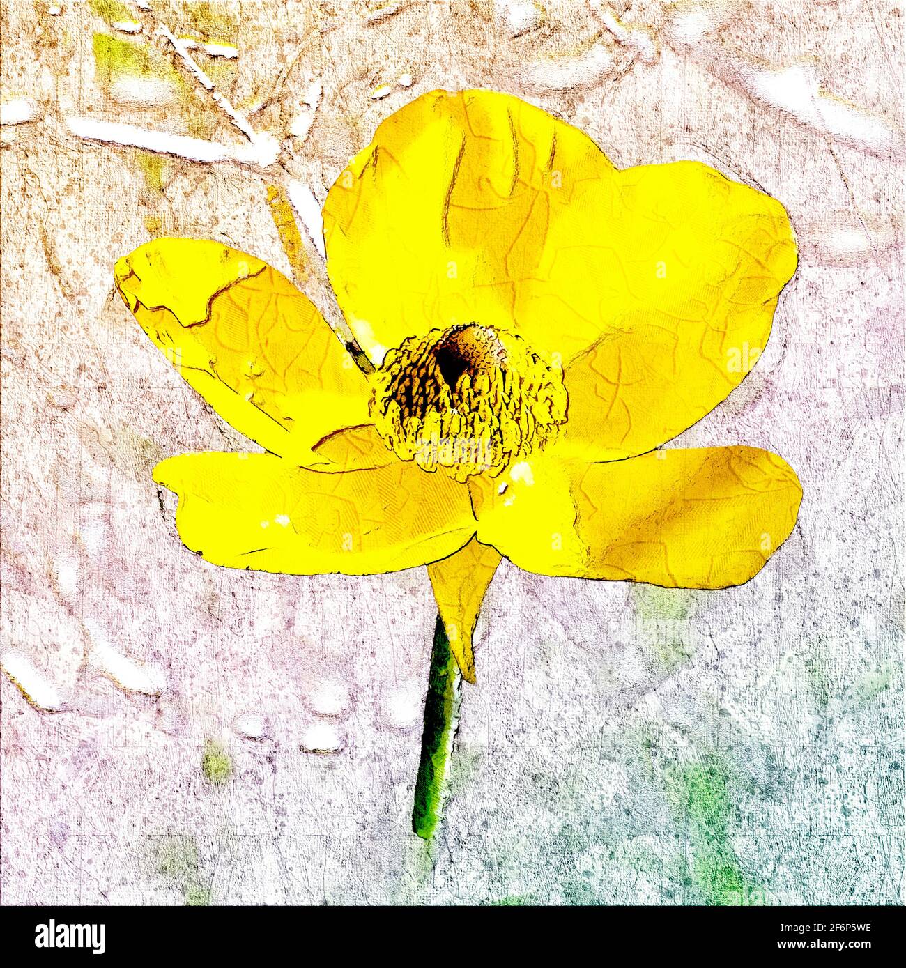 Botany digital manipulation hi-res stock photography and images - Alamy
