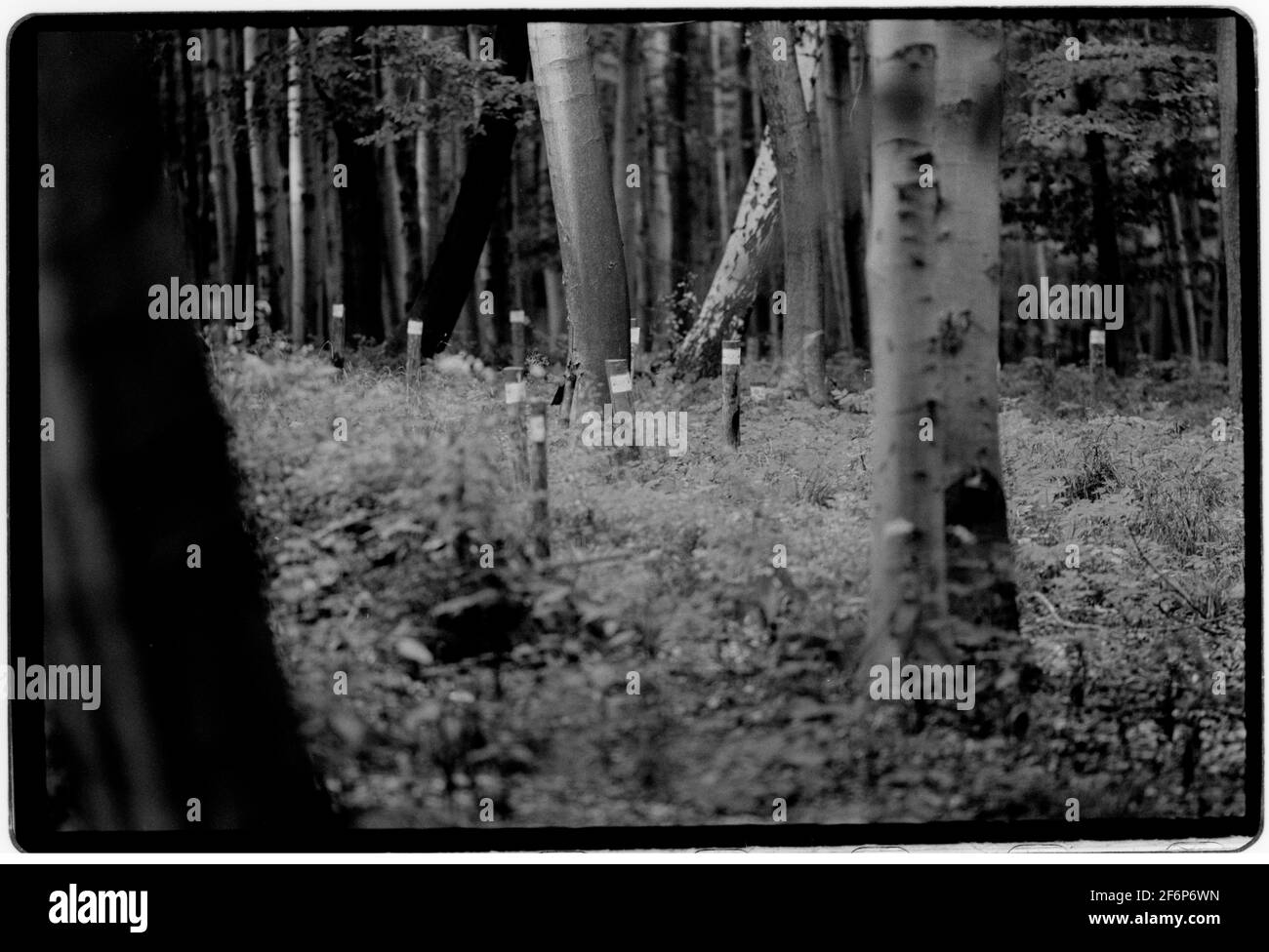 Buchenwald Concentration Camp Weimar in Thuringia Germany 1994 In late ...