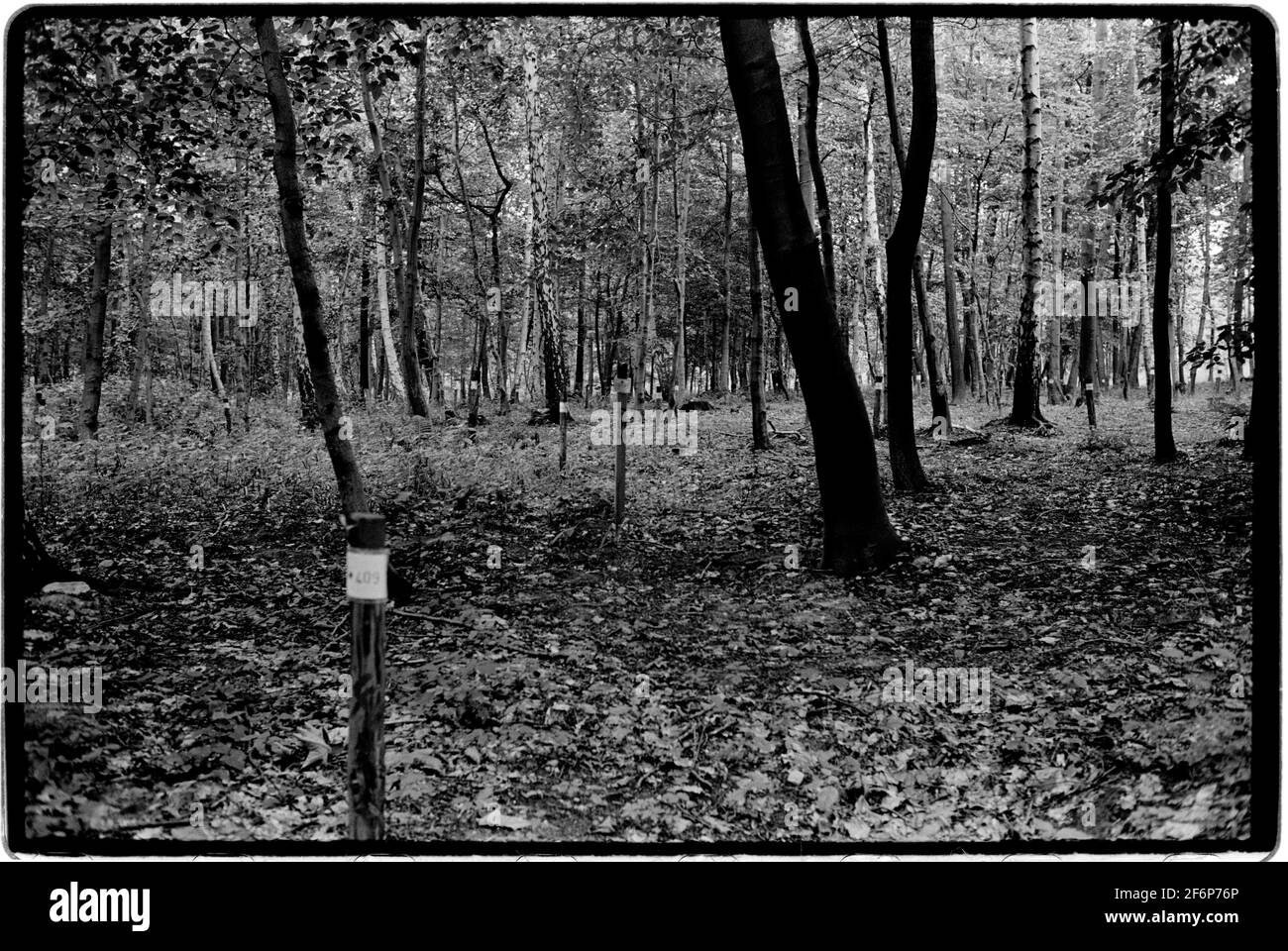Buchenwald Concentration Camp Weimar in Thuringia Germany 1994 In late ...