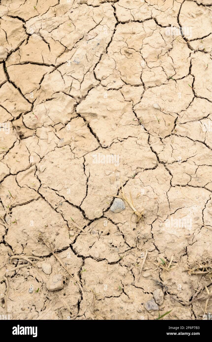 Dry soil, cracked muddy ground, dried mud with cracks, flat lay view ...