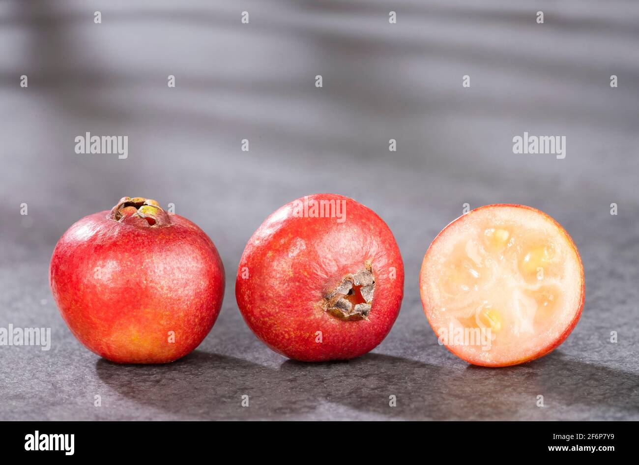 Psidium cattleianum - Cattley guava. Text space Stock Photo - Alamy