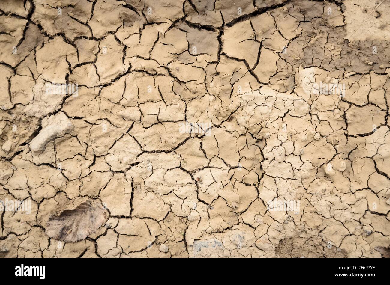 Dried mud flat hi-res stock photography and images - Alamy