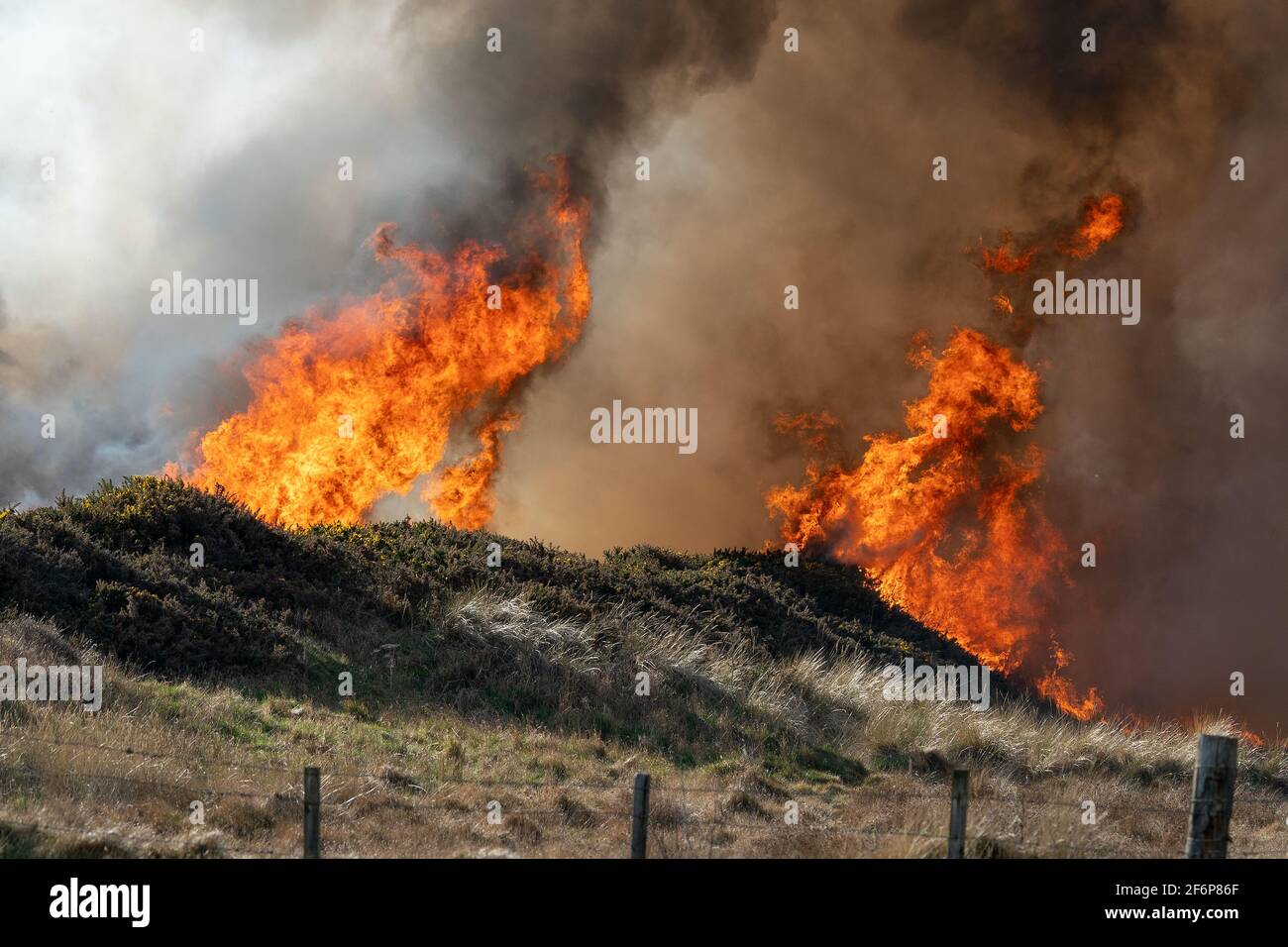 30 March 2021. Wildfire strikes woodland area near Kingston in Moray ...