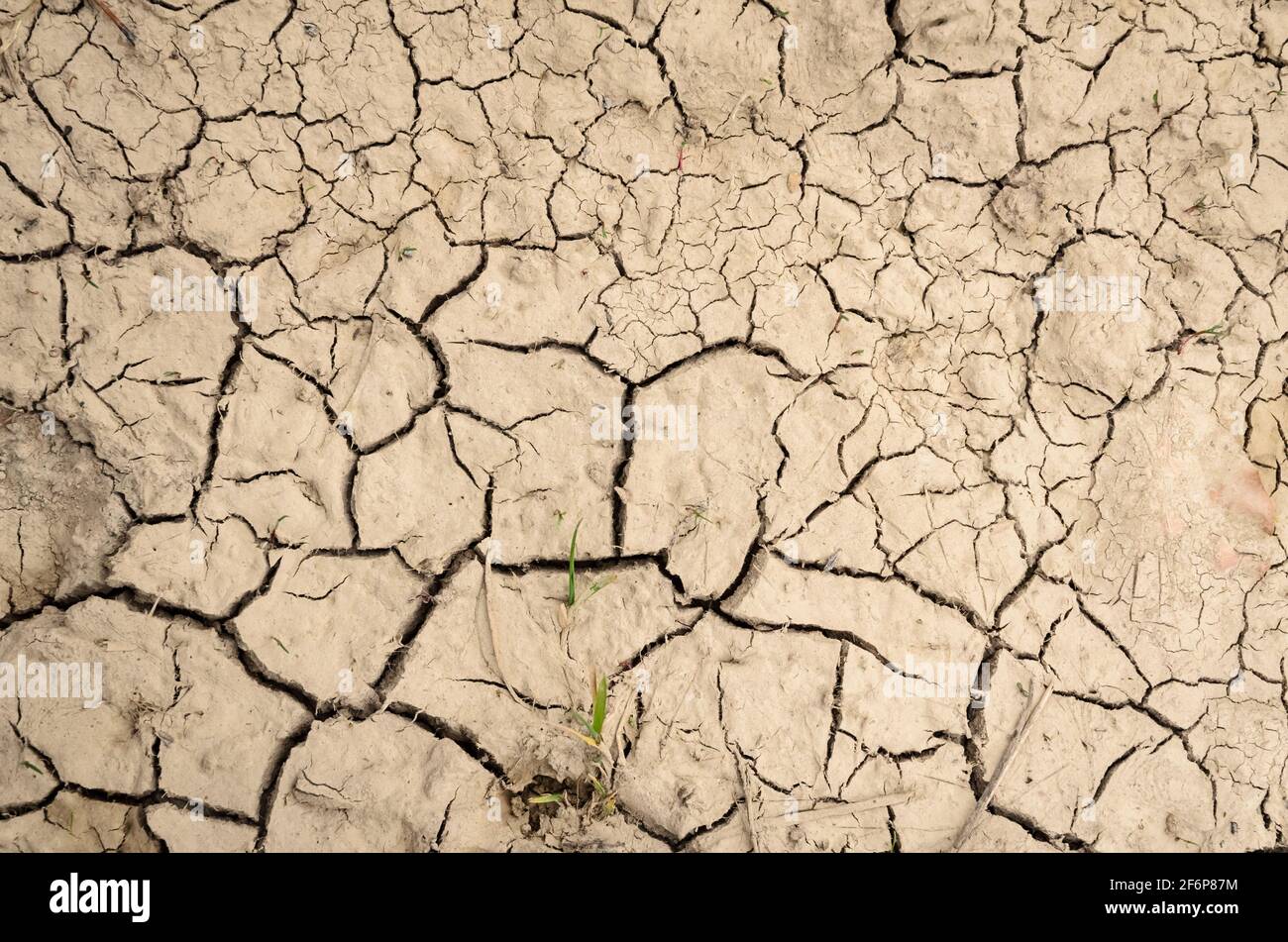 Mud earth ground soil hi-res stock photography and images - Alamy