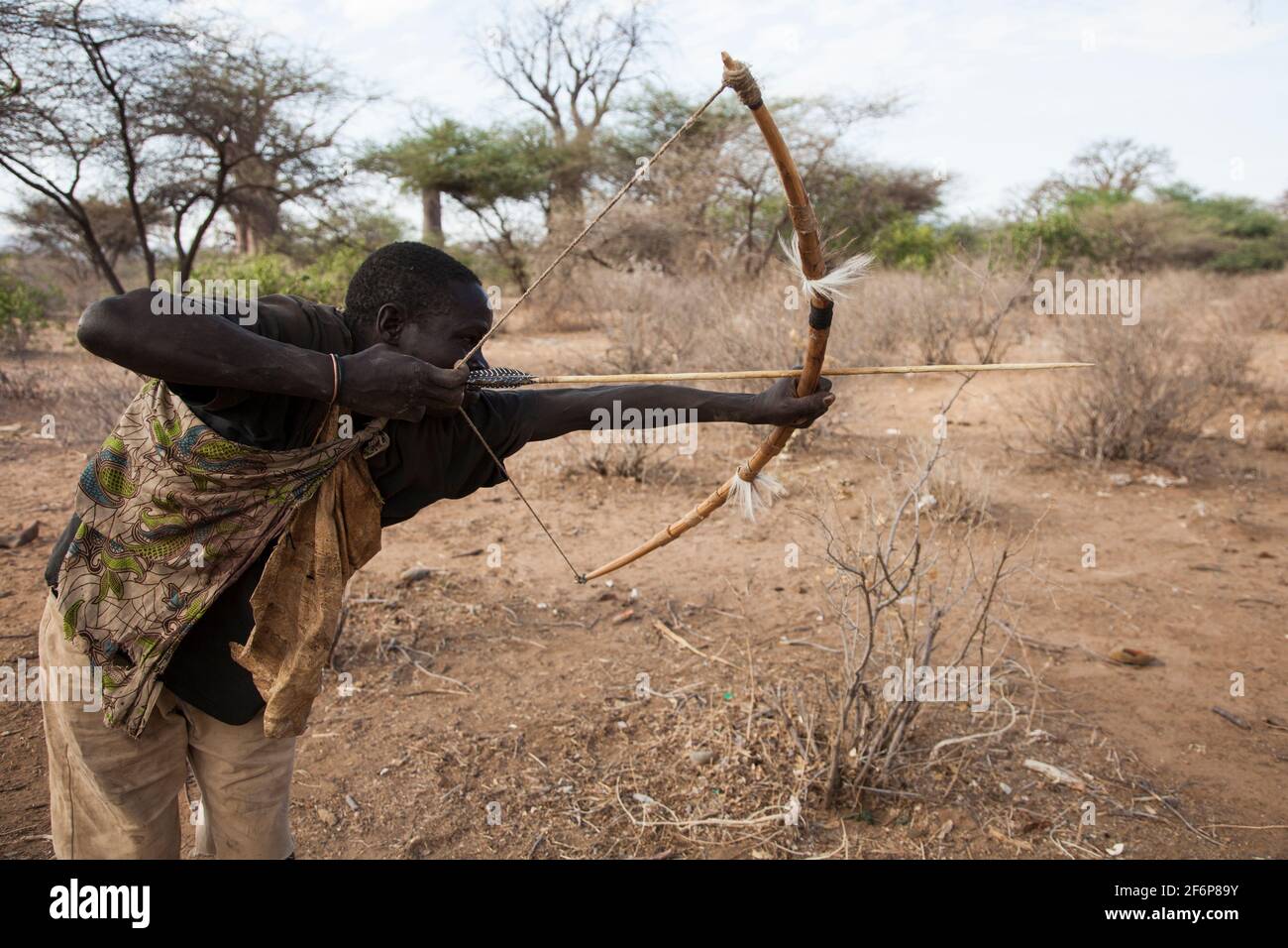 (10/15/2014) Hadzabe hunters during a bow and arrow huntThe Hadza are a ...
