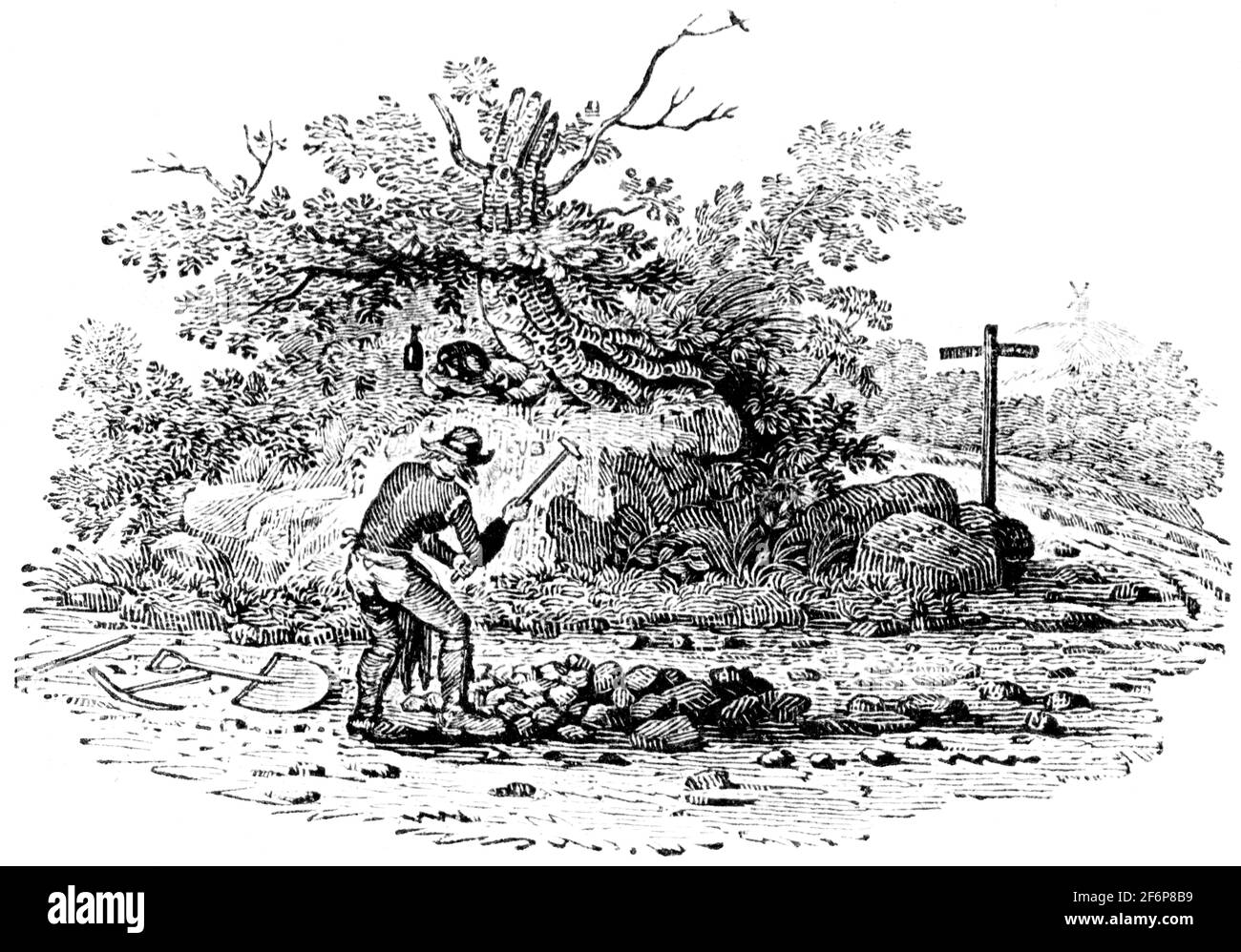 A Tail-piece engraved by Thomas Bewick from 'The History of British ...