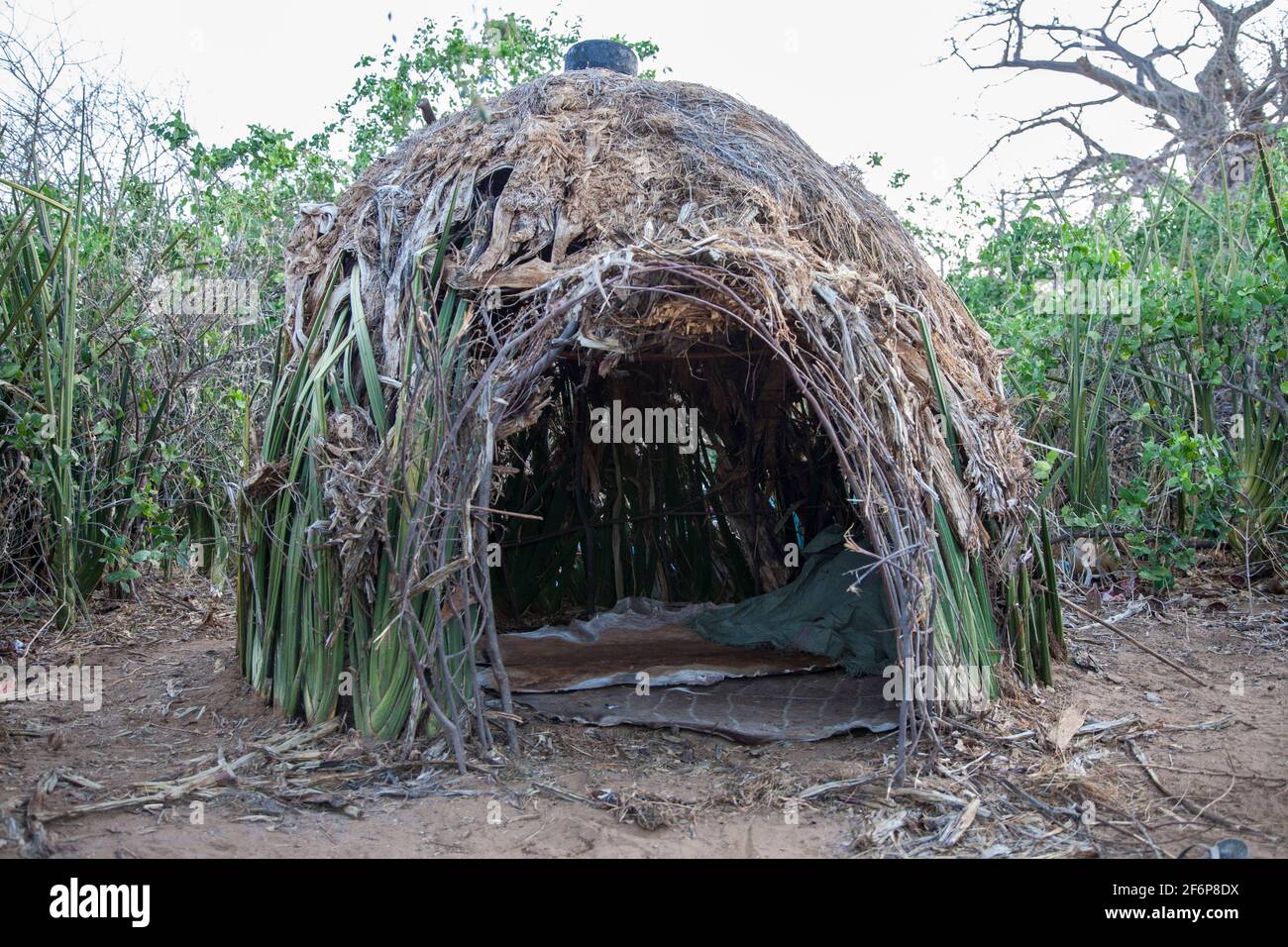 Khoisan African High Resolution Stock Photography and Images - Alamy