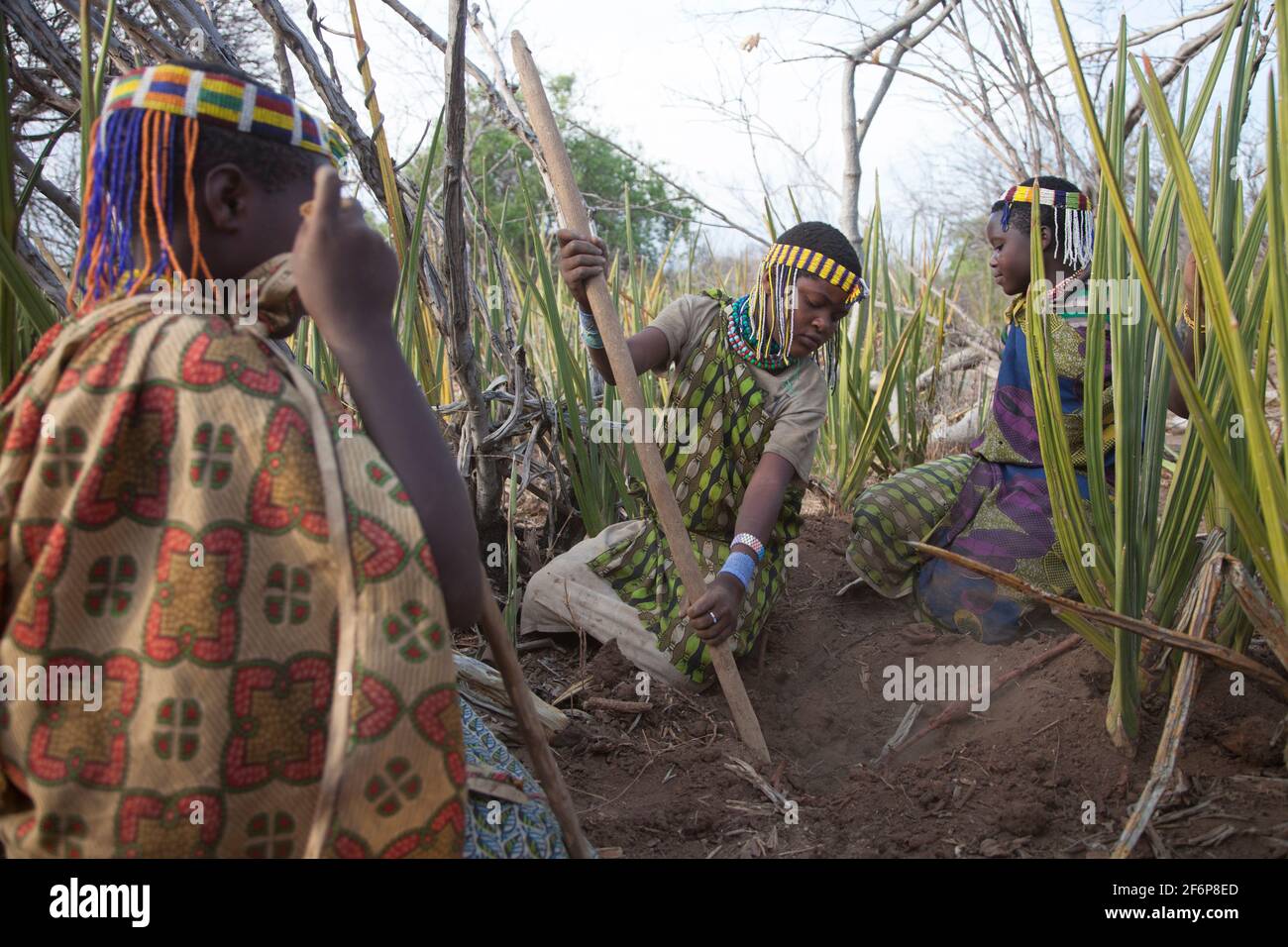 Khoisan People High Resolution Stock Photography and Images - Alamy