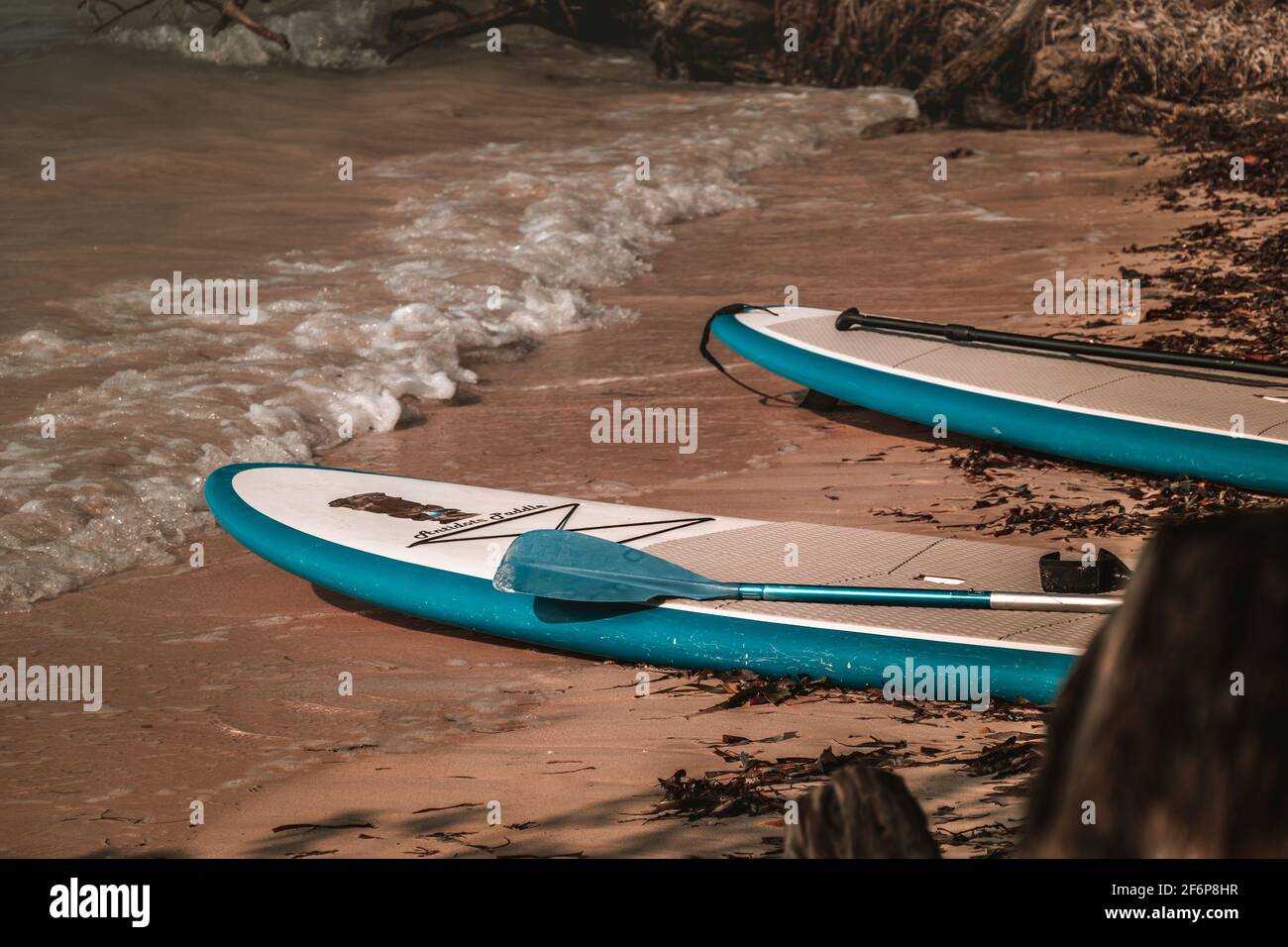 Two paddle boards at the beach with the ocean and the waves arriving ...