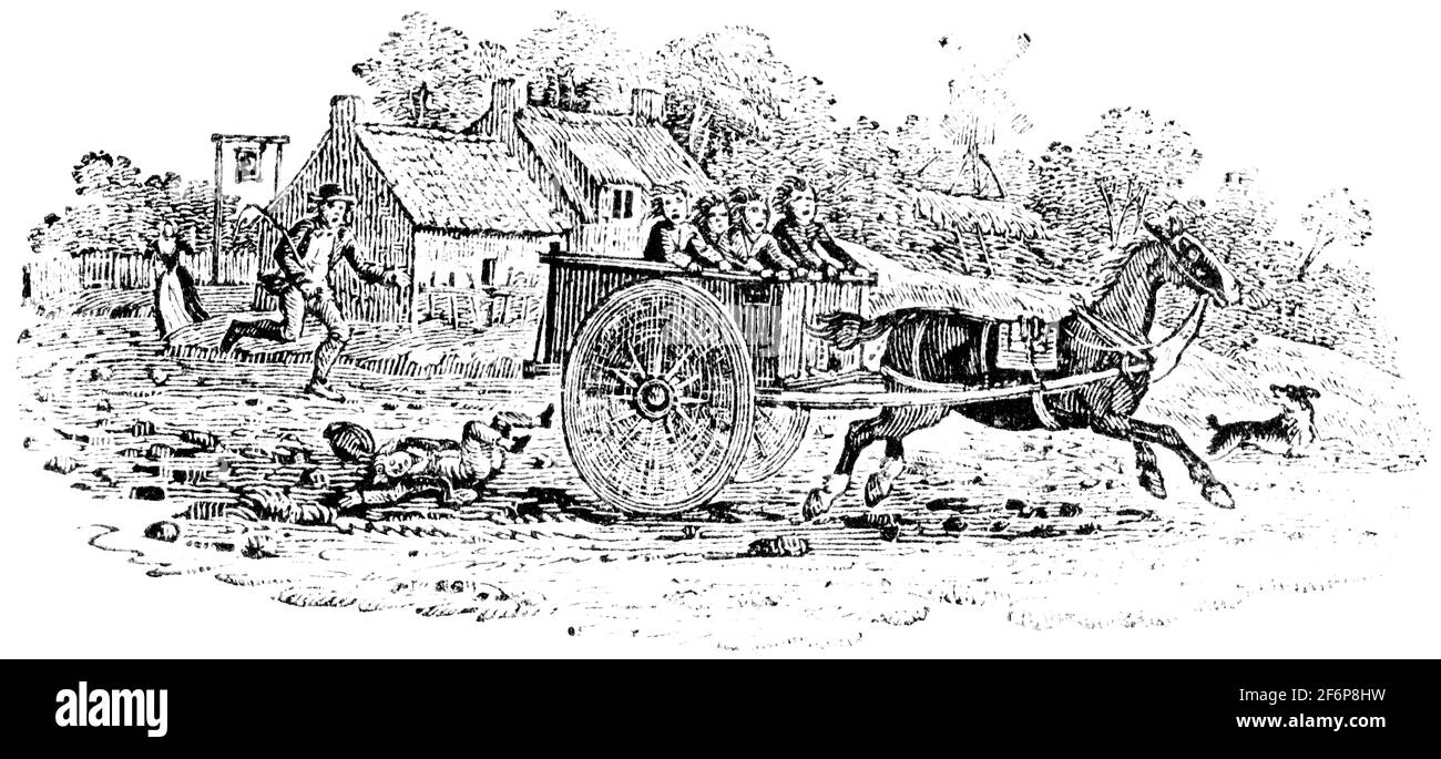 A Tail-piece engraved by Thomas Bewick from 'The History of British ...