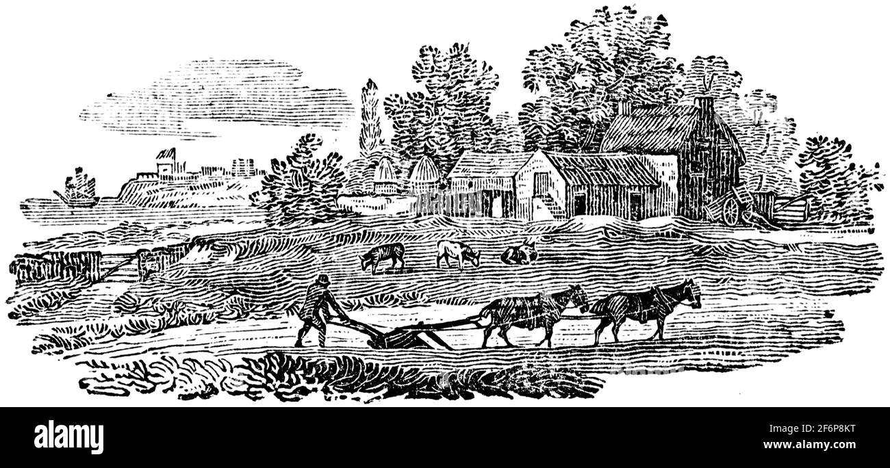 A Tail-piece engraved by Thomas Bewick from 'The History of British ...