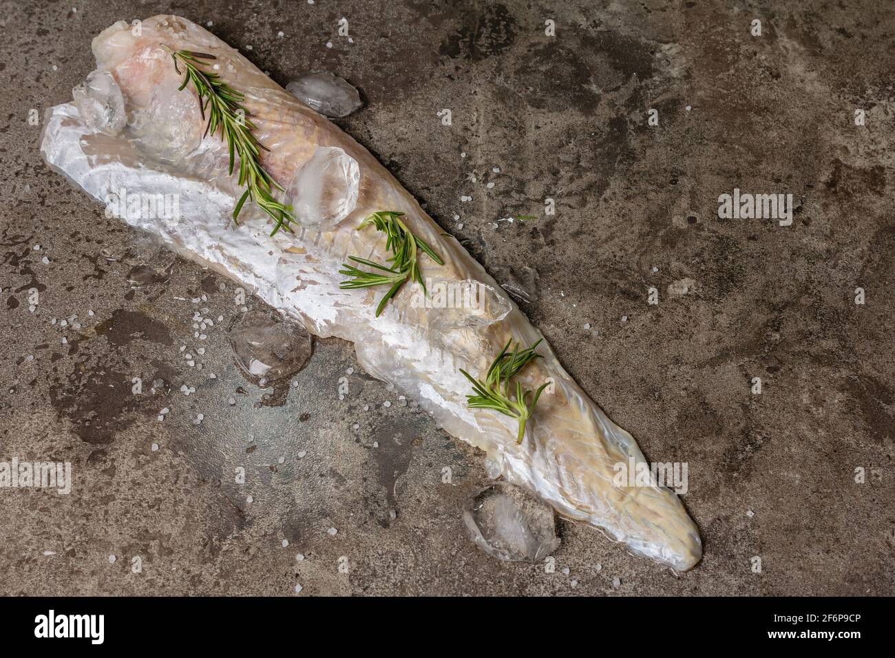 Raw frozen hake fillet with ice and fresh rosemary. Healthy food ...