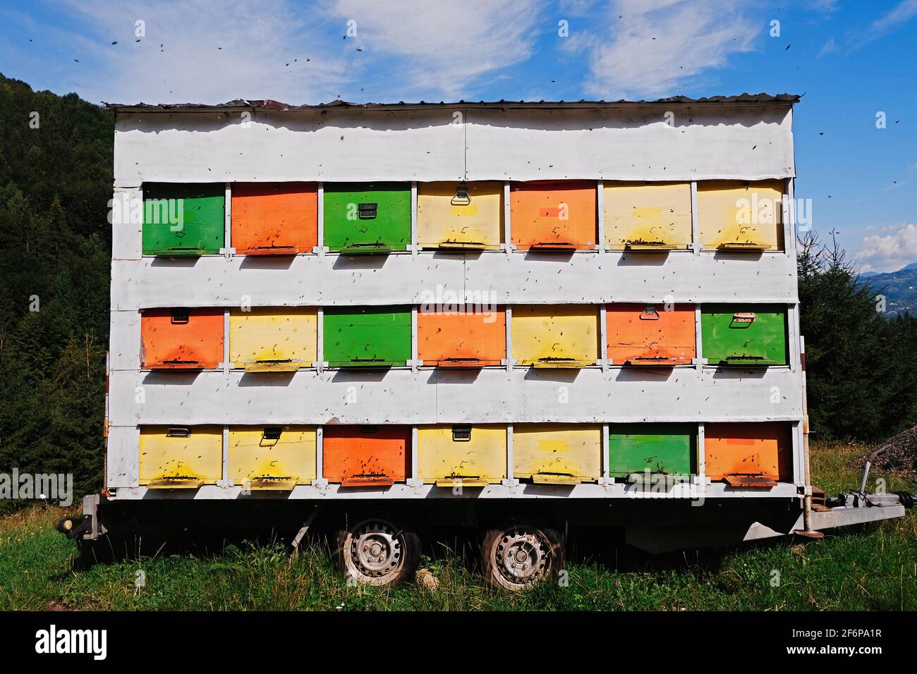 Beekeeping tourism hi-res stock photography and images - Alamy