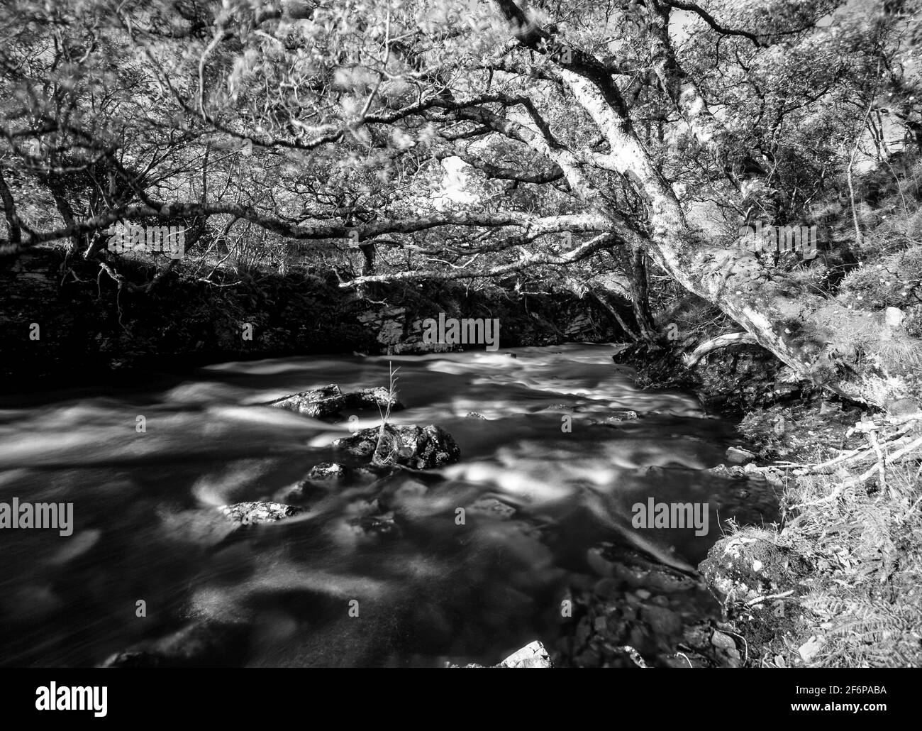 Badachro images, scottish highlands Stock Photo - Alamy