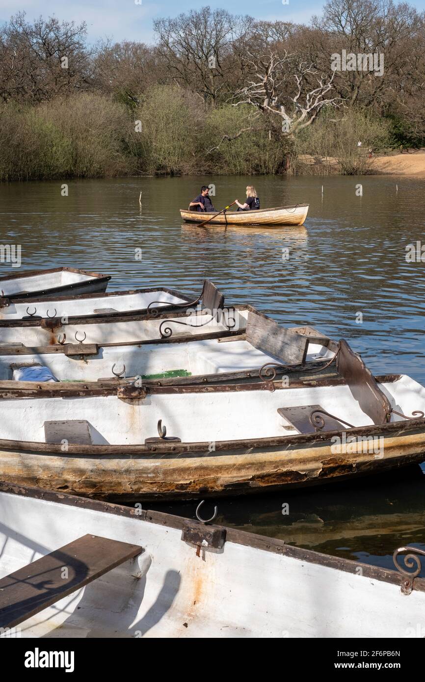 Hollow Pond, London, United Kingdom Stock Photo - Alamy