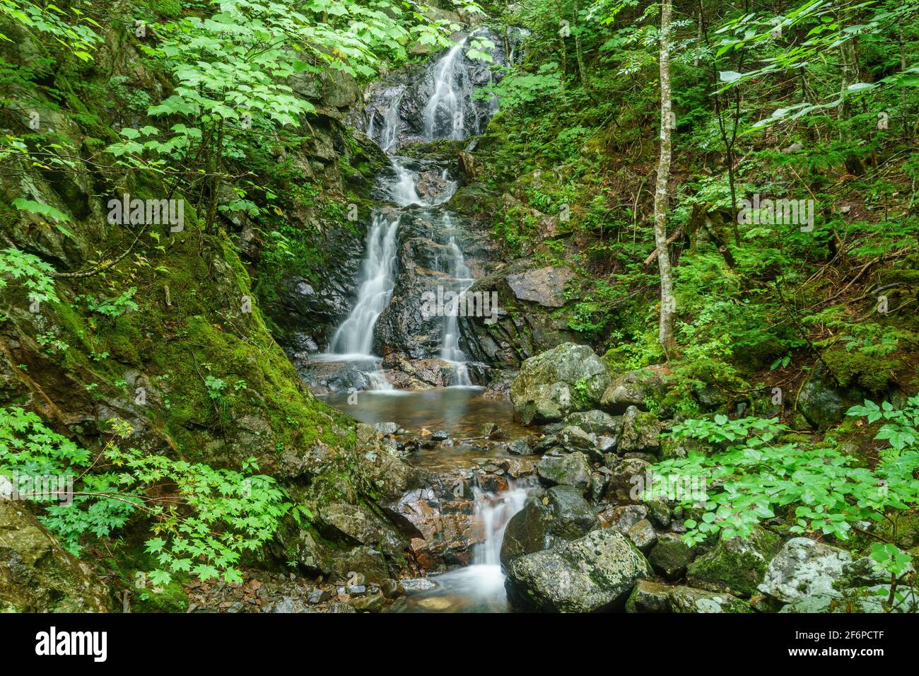 View of a waterfall in the Corney Brook trail, Cape Breton Highlands ...