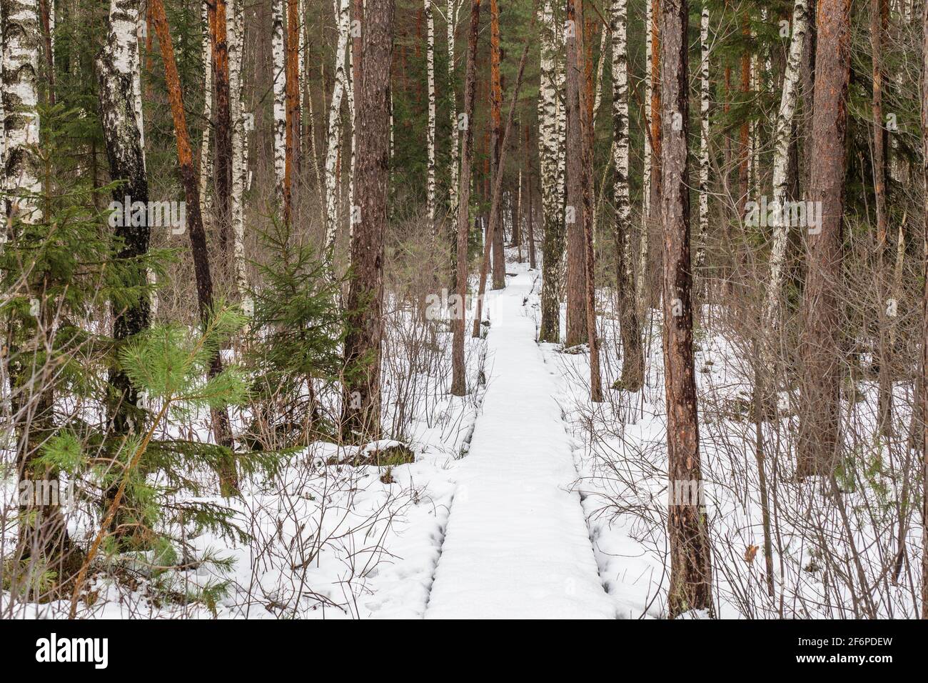 Walk way boardwalk path nature hi-res stock photography and images - Alamy
