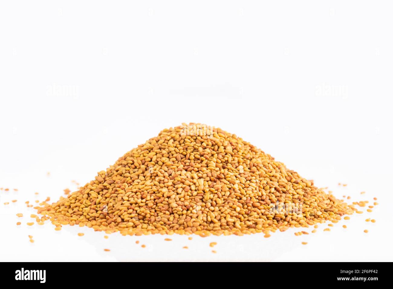 Organic Alfalfa or lucerne (Medicago sativa) seeds on white background ...