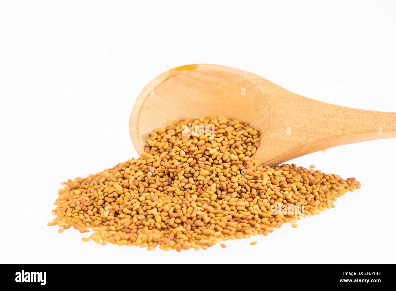 Organic Alfalfa or lucerne (Medicago sativa) seeds on white background ...