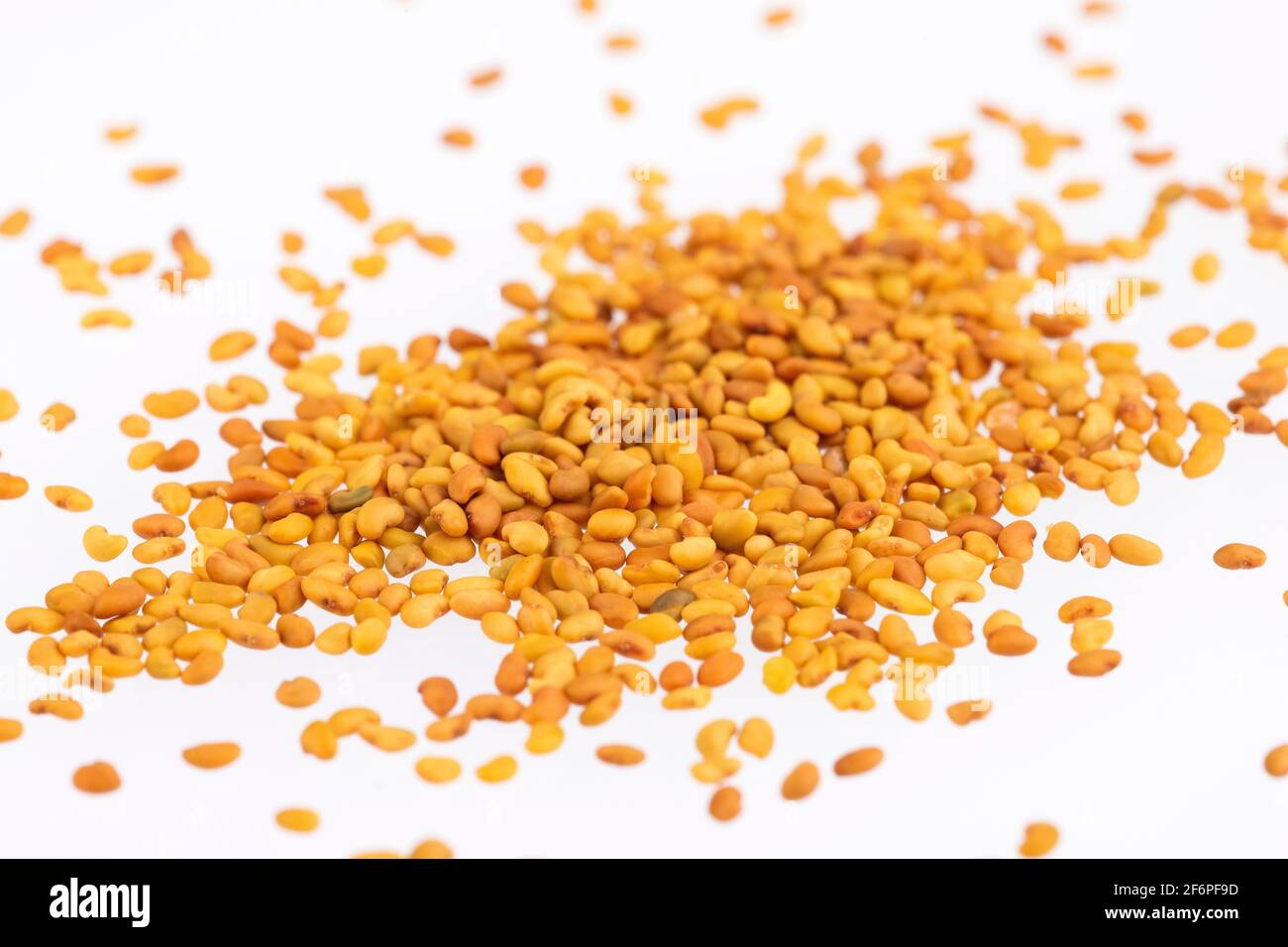 Organic Alfalfa or lucerne (Medicago sativa) seeds on white background ...