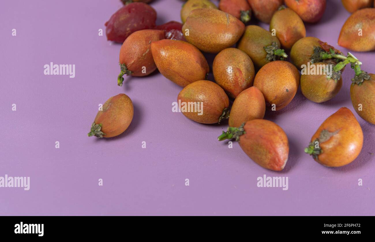 Caferana fruits (Bunchosia armeniaca) in natura on pink background ...
