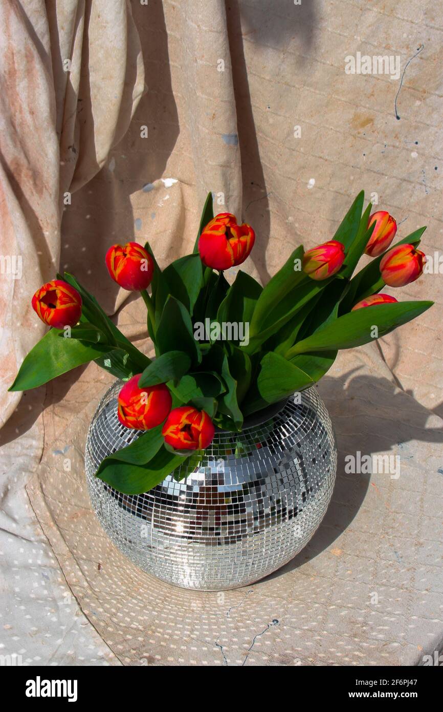 disco ball plant pot Stock Photo - Alamy
