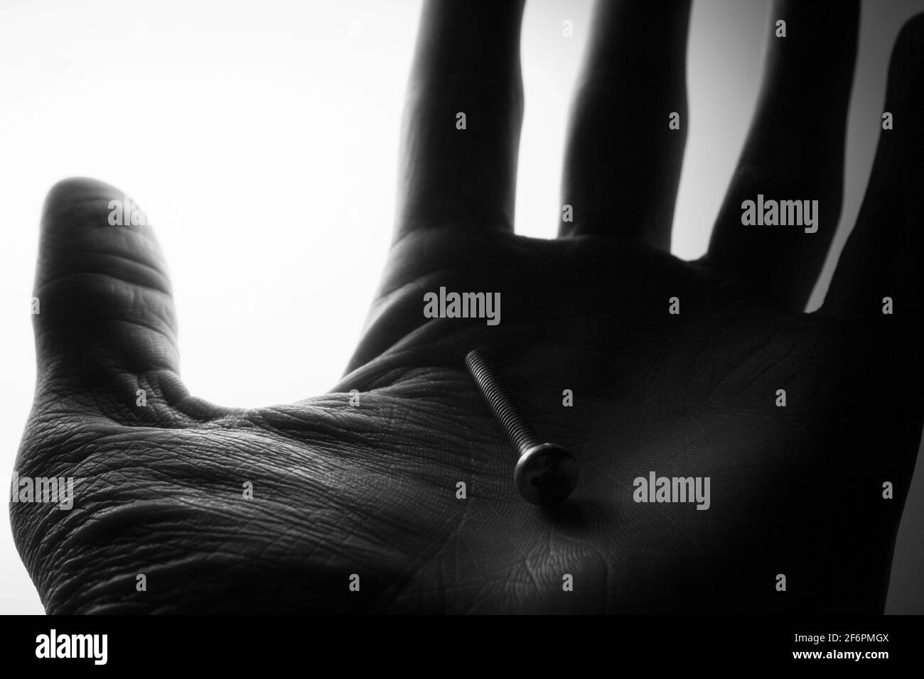 screw in hand on a white background Stock Photo - Alamy