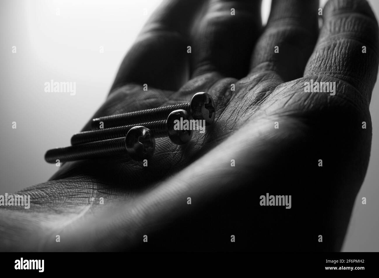 screws in hand on a grey background Stock Photo - Alamy