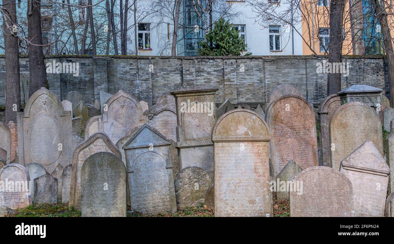 The Old Jewish Cemetery at Žižkov, Prague, Czechia; Starý židovský ...
