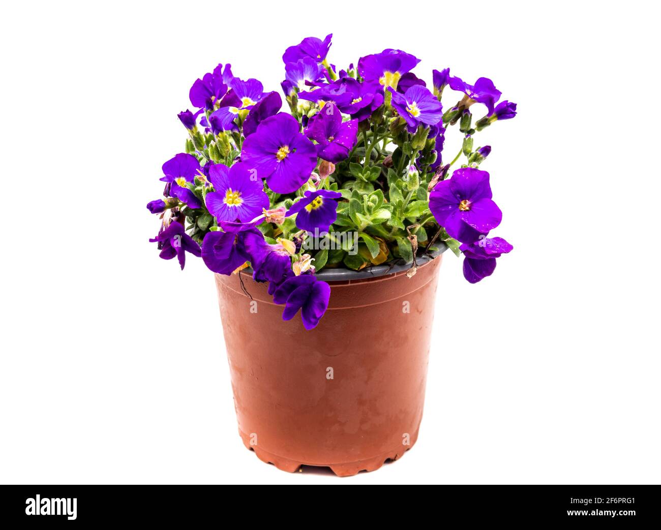 Greek blue pillow pot isolated on white background Stock Photo - Alamy