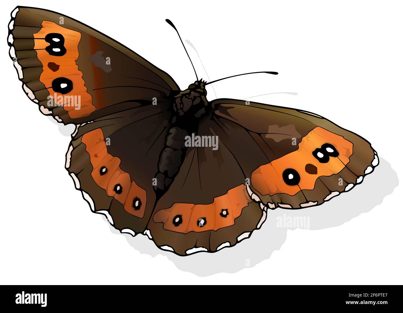 The arran Stock Vector Images - Alamy