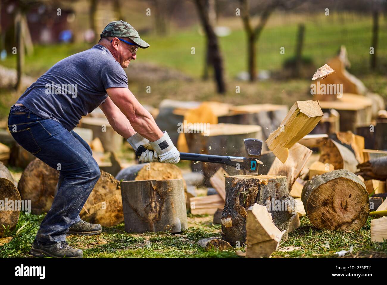 strong man splitting beech logs with an ax Stock Photo - Alamy