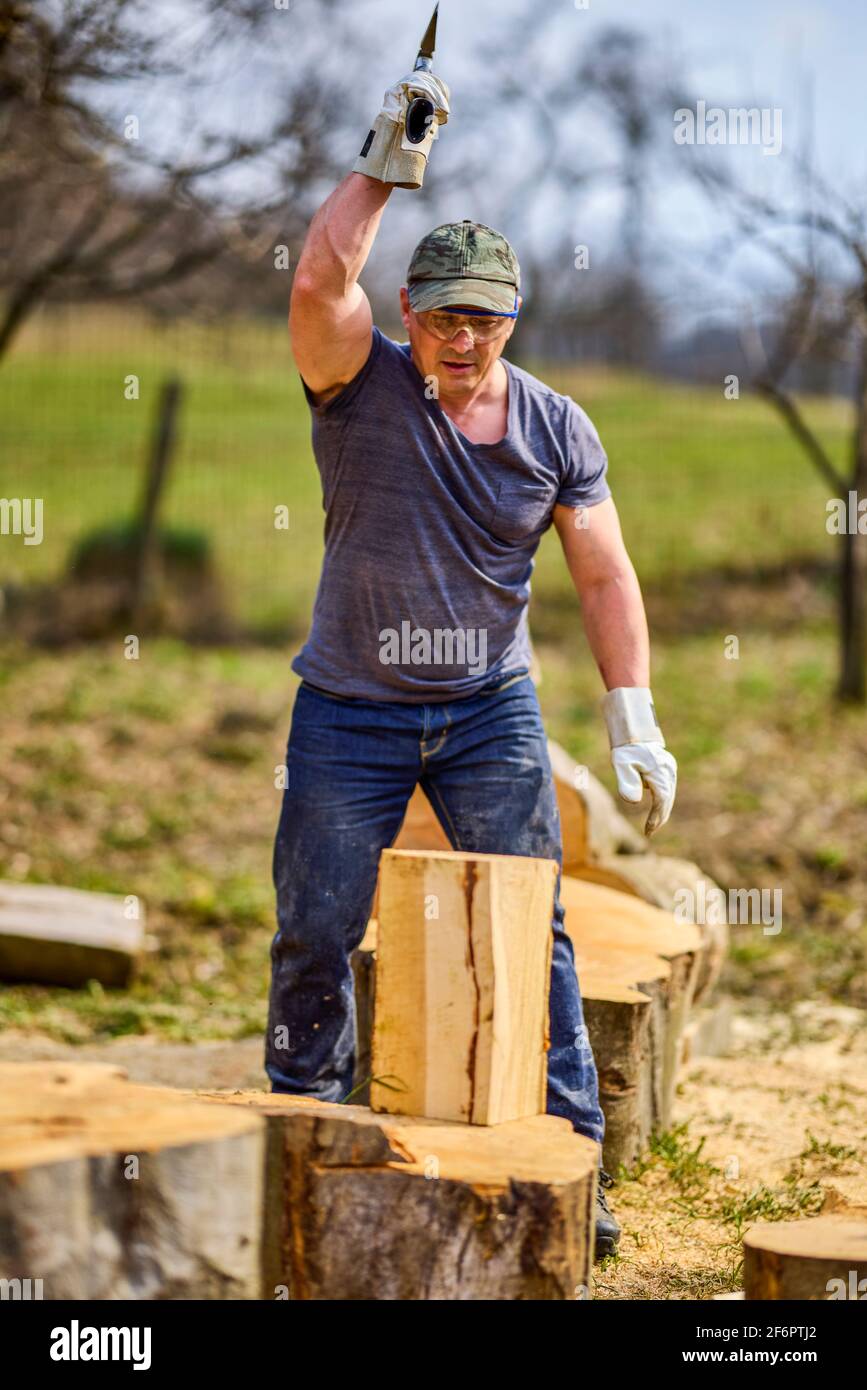 strong man splitting beech logs with an ax Stock Photo - Alamy