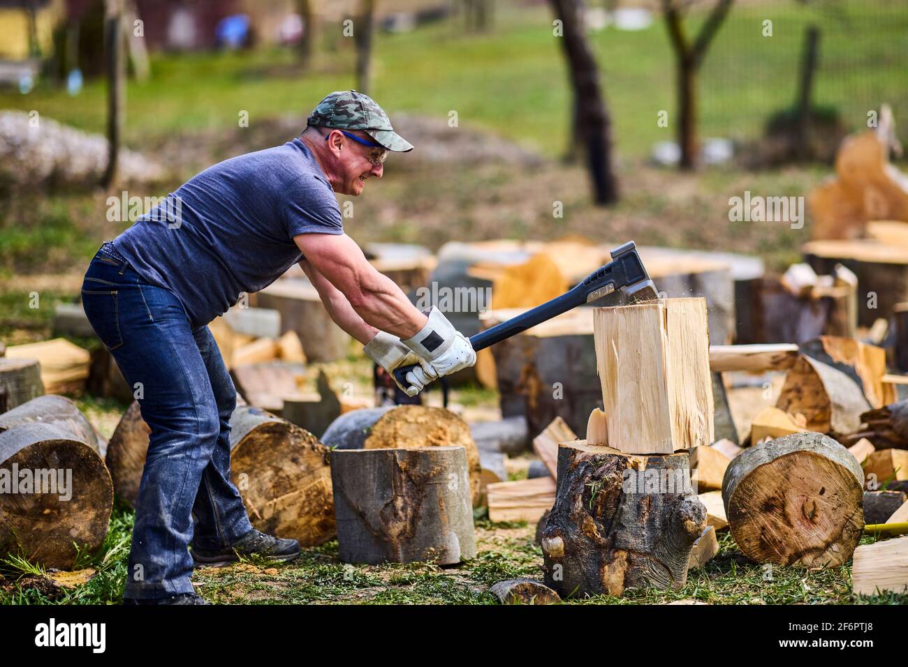 strong man splitting beech logs with an ax Stock Photo - Alamy