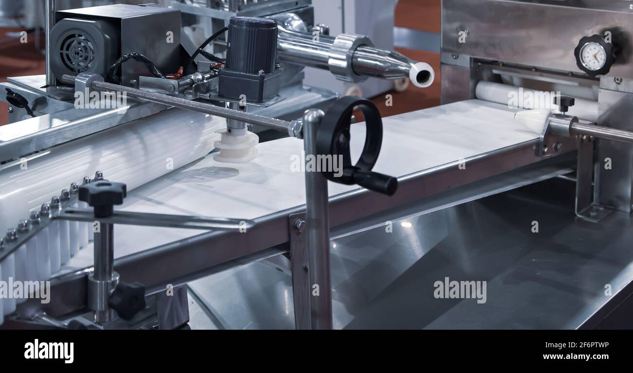 Automatic dough encrusting and moulding machine for steamed bun. Food ...