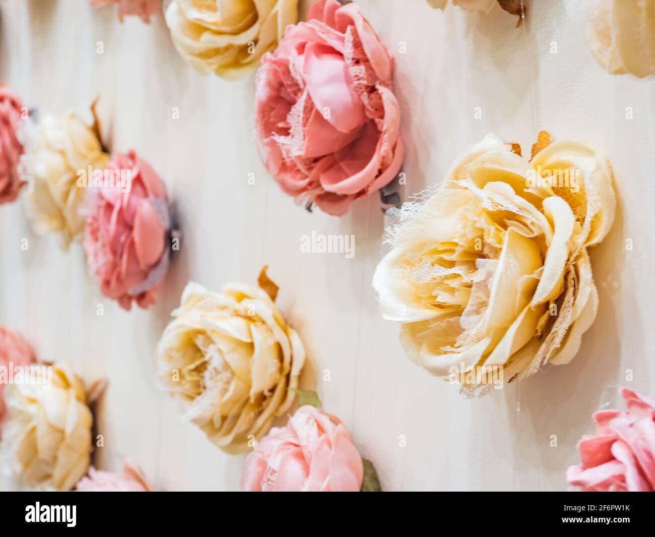 A Wall of roses background Stock Photo - Alamy